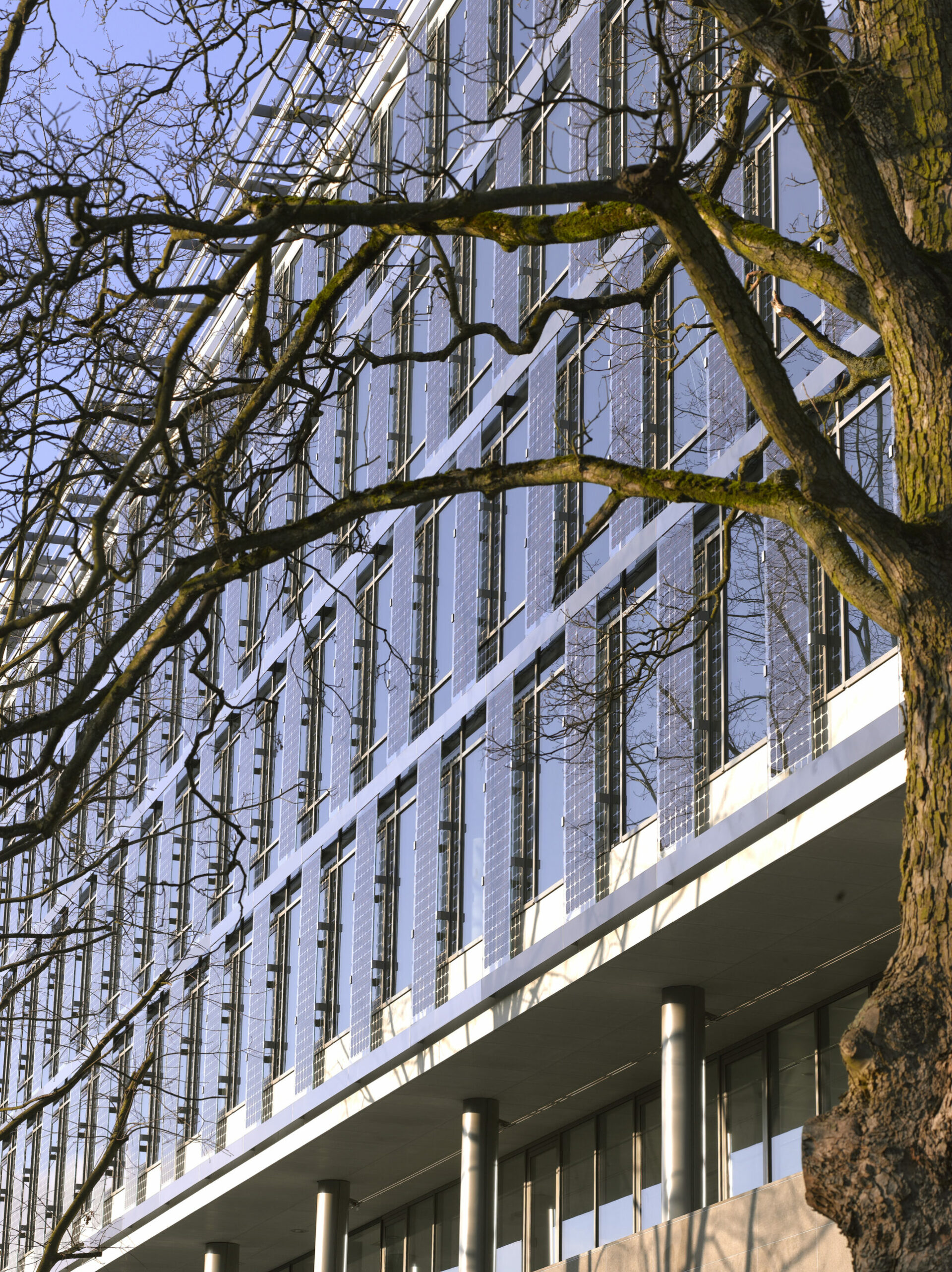 solaris - assar architects